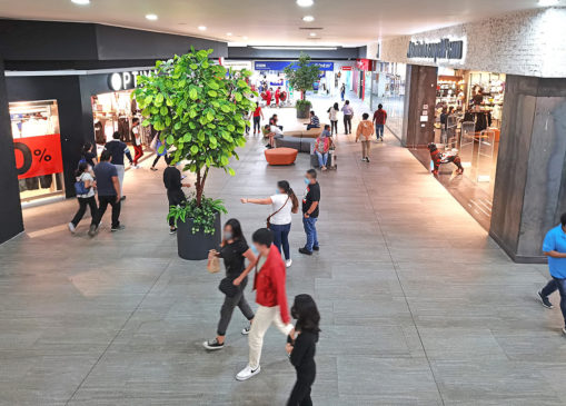 Galería – Gransur