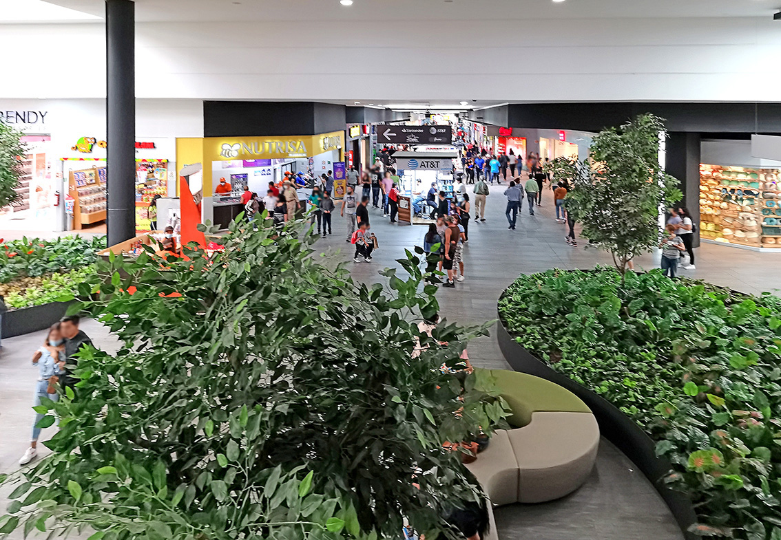 Galería – Gransur